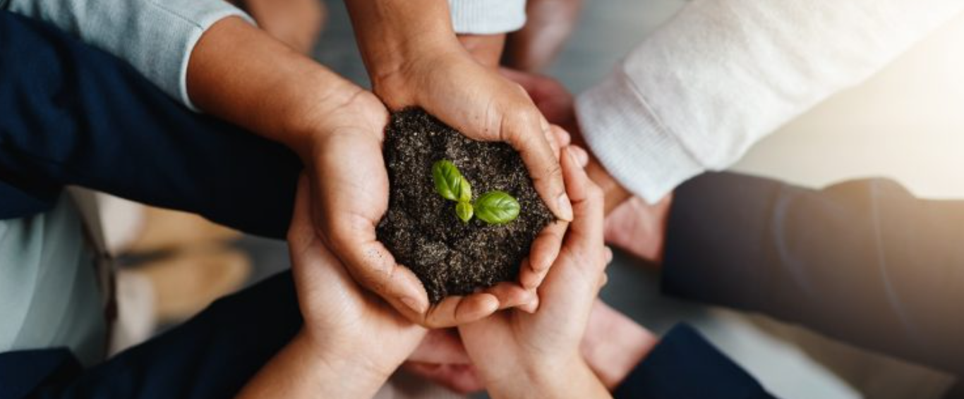 2024 NOVA Green Lab Annual Report - NOVA Green Lab